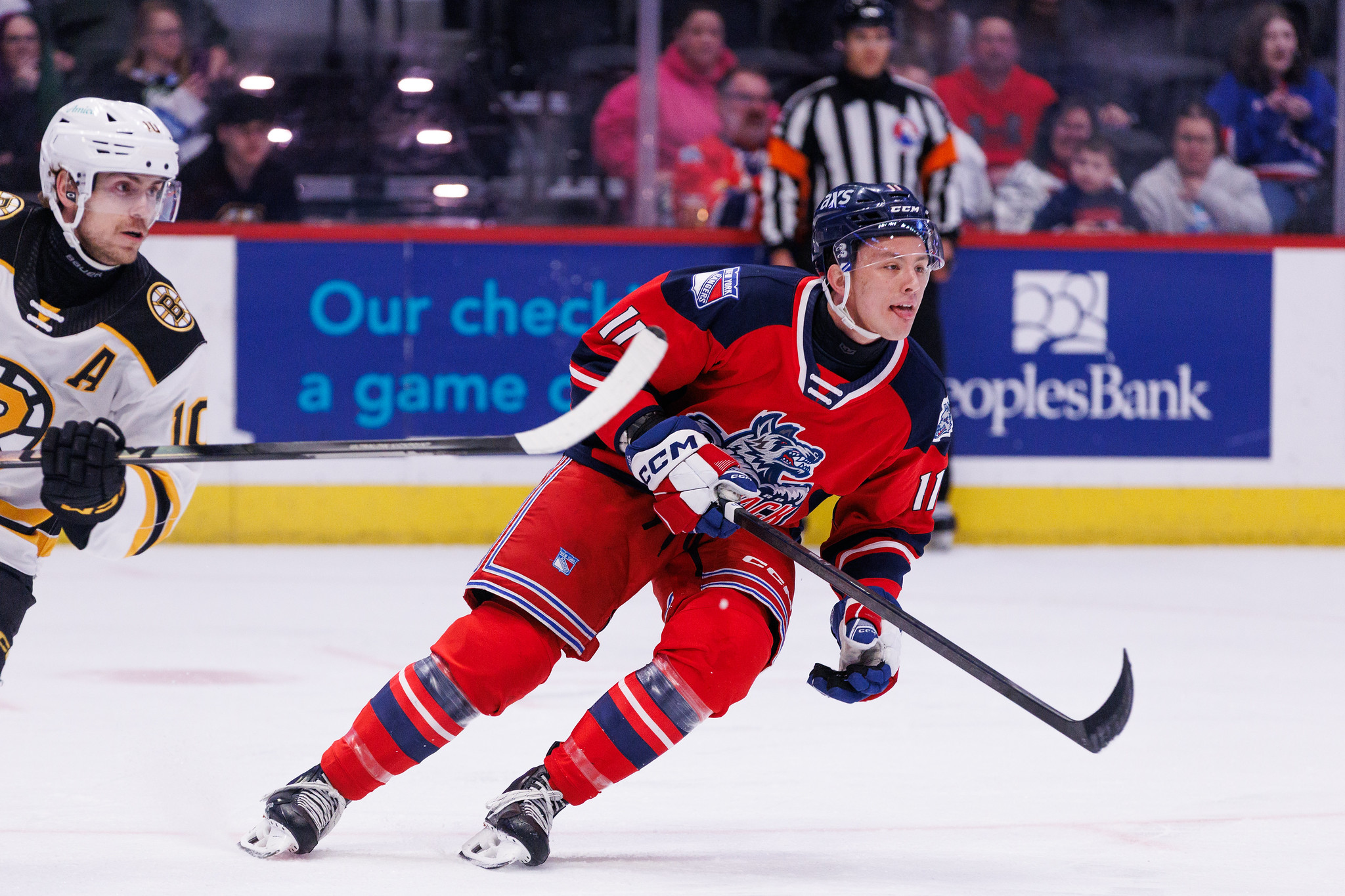 Hartford Wolf Pack awards, including Carey Terrance Best 1st-Year Player